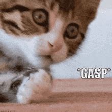 Funny Gasp Meme Gasping S Tenor