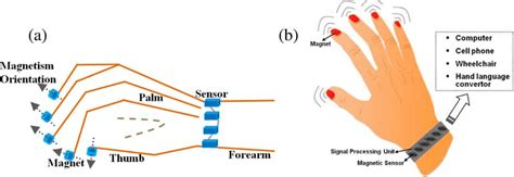 Structure Of The Magnetic Hand Motion Tracking System Download Scientific Diagram