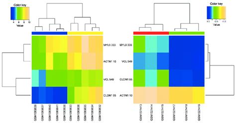 Bidirectional Hierarchical Clustering Analysis Of Differently Expressed