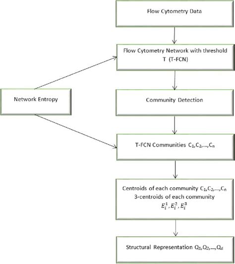 Steps For Generating The Structural Representation Of Flow Cytometry