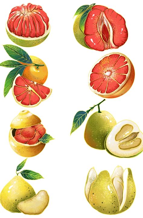 卡通蜜柚冬季柚子水果元素插画 花瓣网