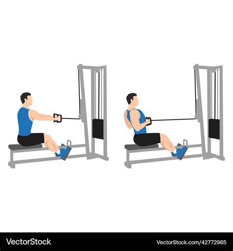 Man Doing Seated Low Cable Back Rows Exercise Vector Image