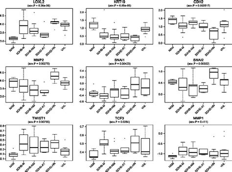 Figure W2 Unsupervised Hierarchical Clustering Of Emt Genes