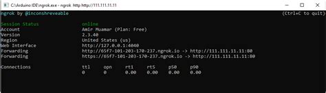tutorial esp32 cam streaming online dengan ngrok dan blynk