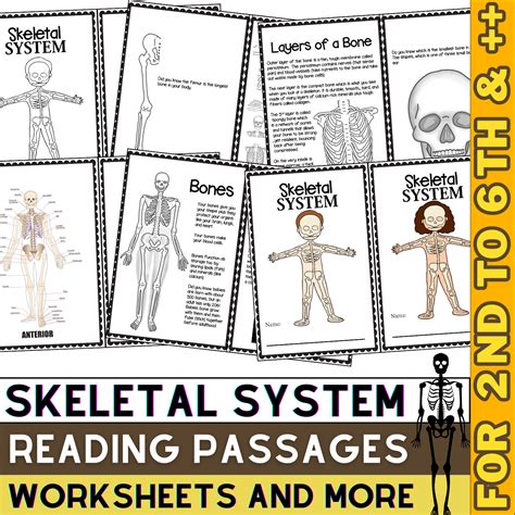 Printable Skeleton Worksheets Skeletal System Activities Passages