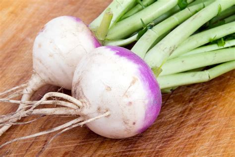 White Turnip