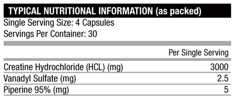 Nutritech Creatine Nitro X Psycho Skull Supplements