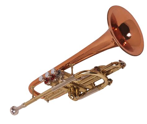 금관악기 종류 트럼펫 호른 트럼본 튜바 네이버 블로그