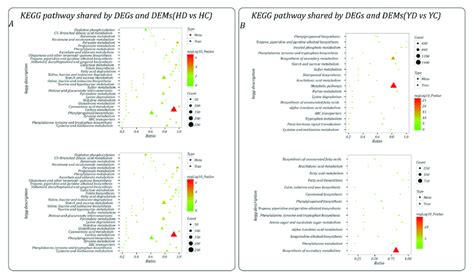 figure a3 molecular pathways shared by degs and dems a kegg