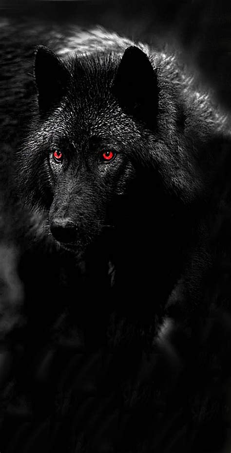 Black Wolf Aesthetic Nice Wallpaper Idea In 2025 Black Wolf Wolf