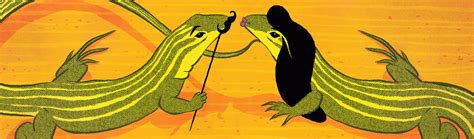 Parthenogenesis Whiptail Lizard