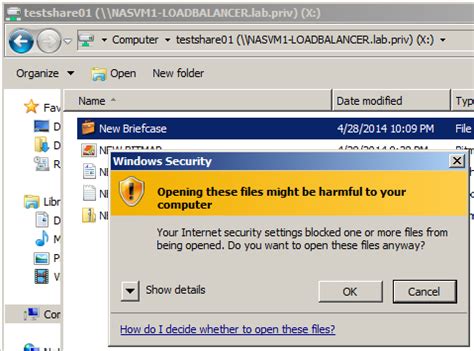 Windows Security Opening These Files Might Be Harmful