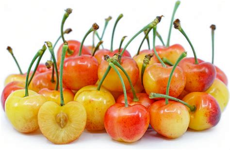 15 Different Cherry Fruit Varieties Interesting Facts With Pictures