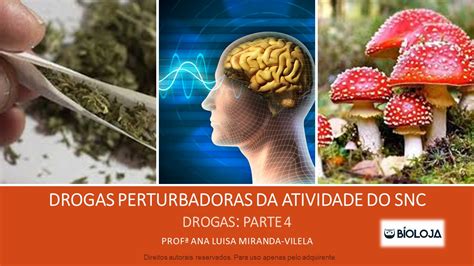Drogas Perturbadoras Do Snc Parte 4 Bioloja
