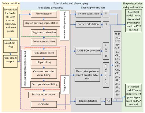 Automatic Measurement Of Seed Geometric Parameters Using A Handheld Scanner