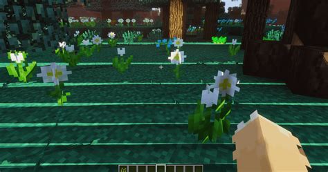 seus ptgi hrr 3 iris shaders r minecraftshaders