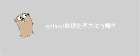Golang資料處理方法有哪些golang有哪些資料處理方法 Golang Php中文網