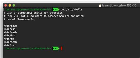 Zsh Vs Bash In MacOS Catalina Stealth Settings