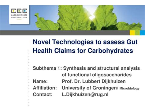 Ppt Synthesis And Structural Analysis Of Functional Oligosaccharides Powerpoint Presentation