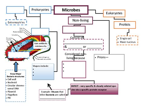Ch 1 Microbes Concept Map Blank Microbes Consist Of