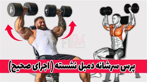 پرس سرشانه دمبل نشسته اجرای صحیح Youtube