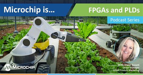 Brian Colgan On Linkedin Microchip Is Fpga