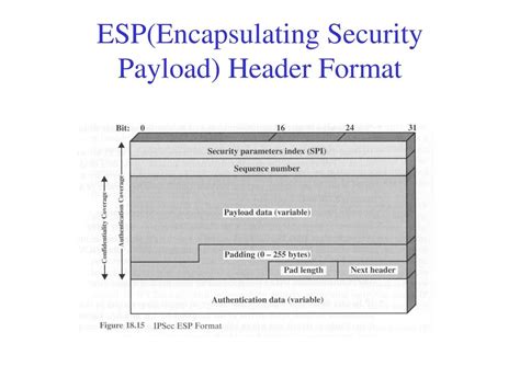 Network Security Ppt Download