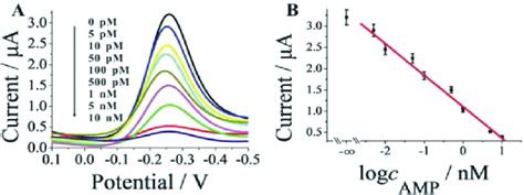 A Typical Dpv Responses Of The Biosensor To Different Concentrations Download Scientific