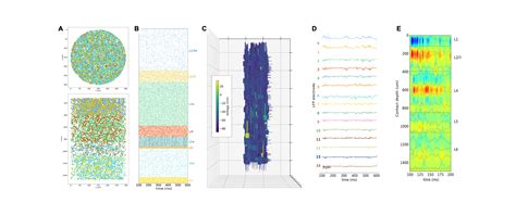 Models · Netpyne Open Source Package For Neuronal Networks