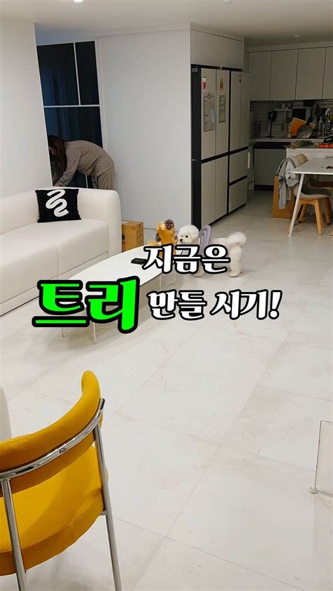 별난맘 공구예고 이제 트리준비해놔야 하는 시기가 왔어요 바깥날씨는 점점 추워지고 어둑어둑해지다보면 괜히 기분도 축 늘어지게 되잖아요😭 자~ 이럴땐 맘까지 따뜻하게