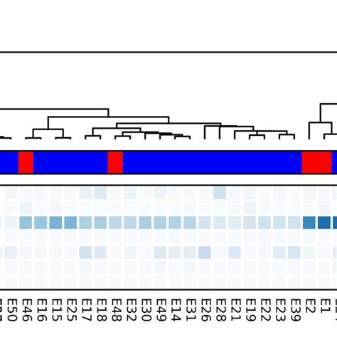 hierarchical centroid clustering samples were clustered based on the