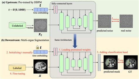Label Efficient Multi Organ Segmentation Method With Diffusion Model