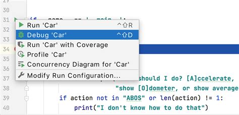 Start The Debugger Session PyCharm