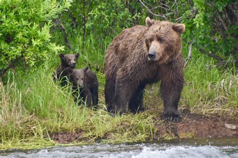 Rob Bussell Posted On Linkedin