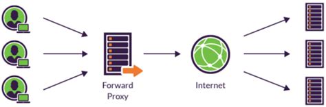 Network Protocols And Proxies Flashcards Quizlet