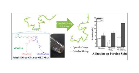 Enzymatically Degradable Polyester Based Adhesives Acs Biomaterials Science And Engineering