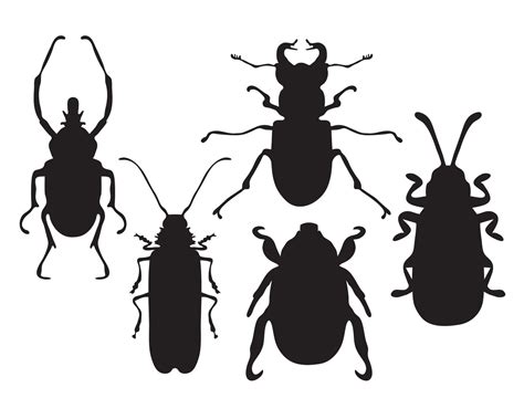 Bug Svg Bugs Svg Beetles Svg Bug Dxf Beetle Dxf Bug Template
