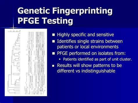 Ppt Preventing Hospital Acquired Infections The Physicians Role