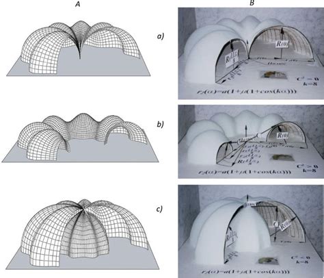 Figure 10 From Classification Of Cyclic Surfaces And Geometrical