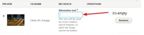 8 Is There A Way To Auto Populate The Alternative Text Using The