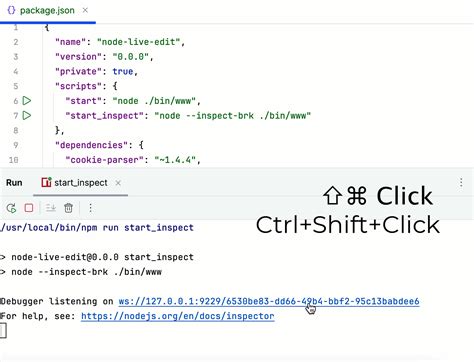 Running And Debugging Nodejs Webstorm Documentation