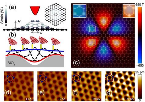 Sublattice Symmetry Breaking By Gaussian Deformations In Graphene A Download Scientific