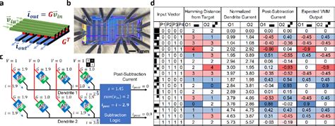figure 1 from neuromorphic hebbian learning with magnetic tunnel
