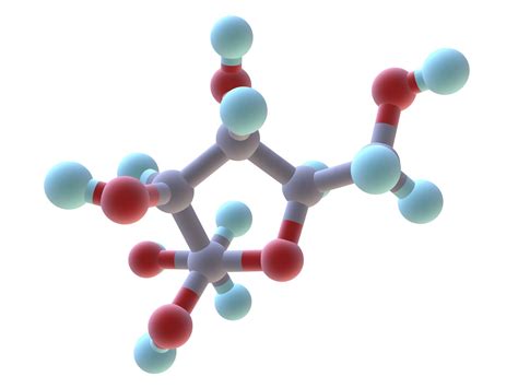 Monosaccharide Definition And Functions