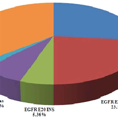 Coexisting Egfr Exon 21 L858r And Exon 21 K860i Mutations In One Case Download Scientific