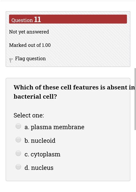 Solved Question 11 Not Yet Answered Marked Out Of 100 Flag