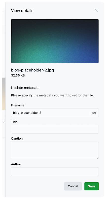 Media View Front Matter