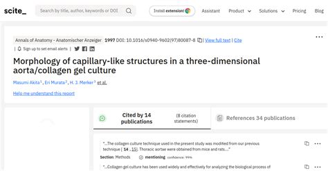 Morphology Of Capillary Like Structures In A Three Dimensional Aorta Collagen Gel Culture