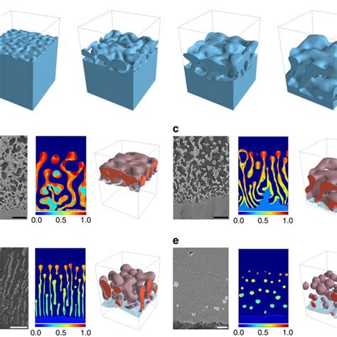 topology of compositional domains snapshots 96 × 96 nm3 of 3d
