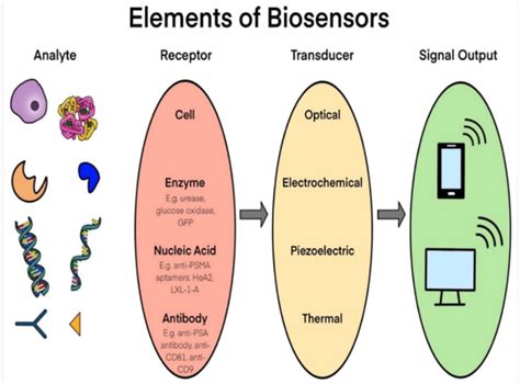 What Are Biosensors And How Are They Impacting The Vr And Healthcare